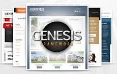 Wordpress Genesis Framework Code Snippets and Customizations